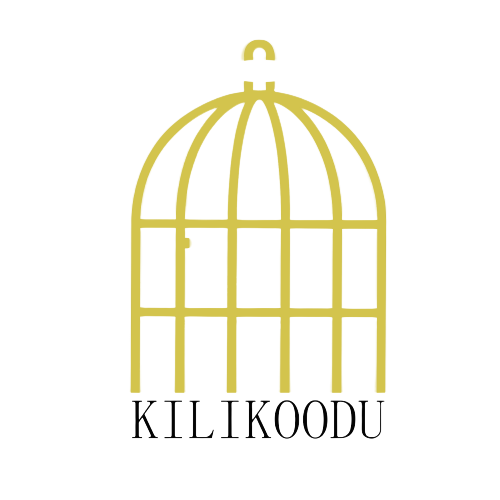 Kilikoodu Drink Love Mate T-Shirt - kilikoodu